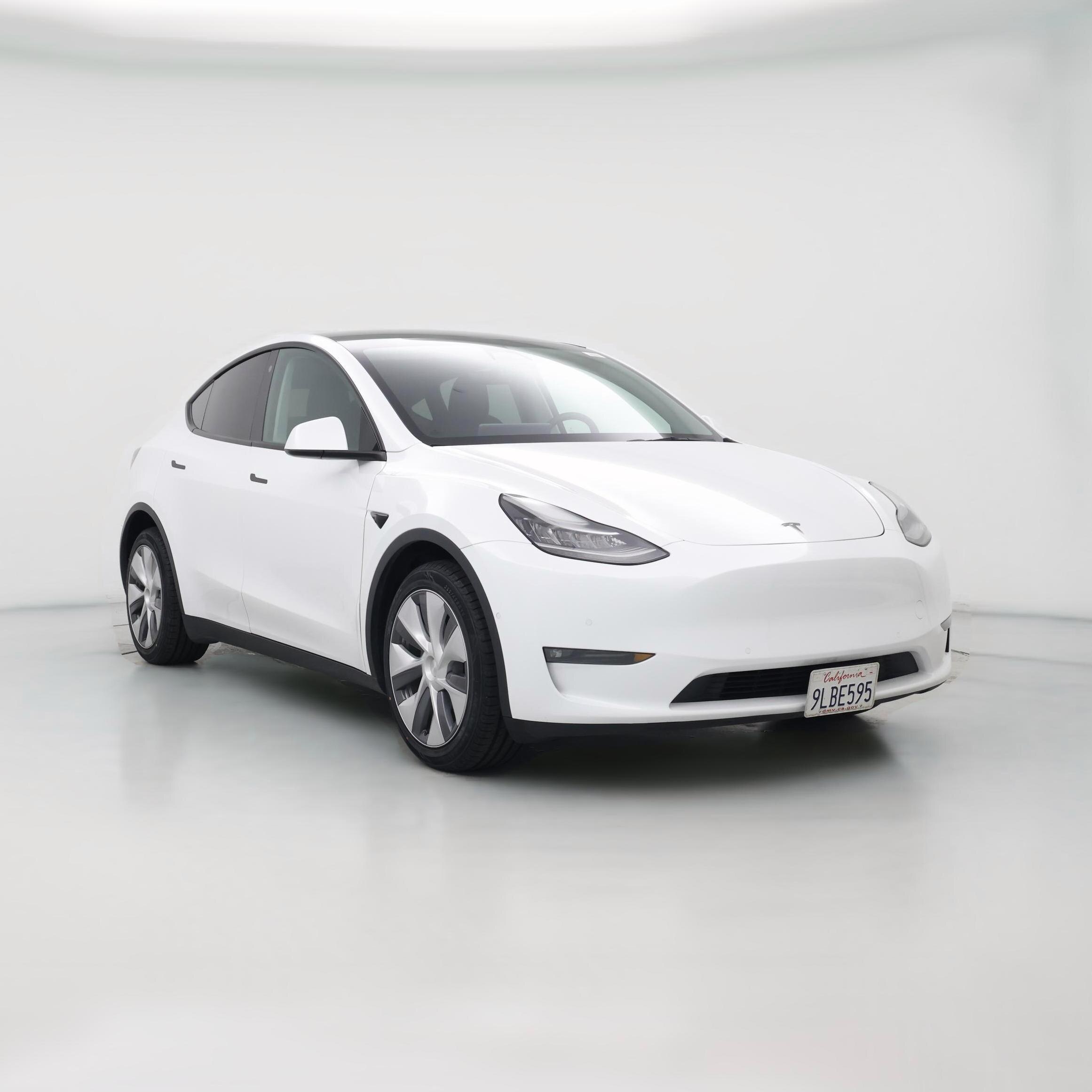 White model y store